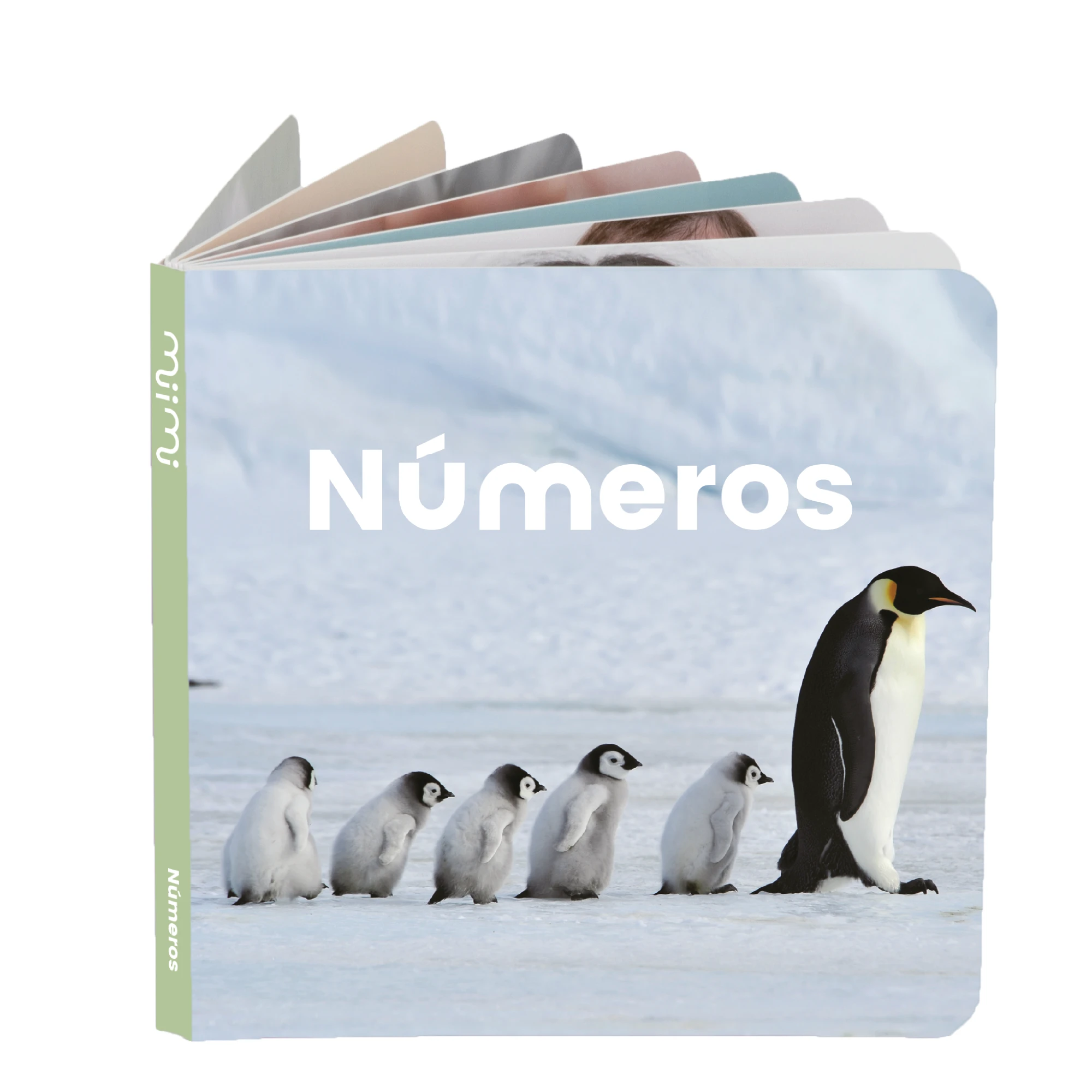 Libro: Números - Miimi